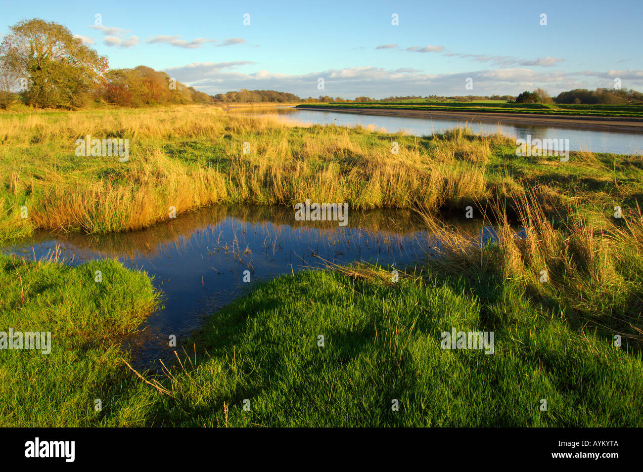 Wetlands beside the River Wyre in the Fylde region of Lancashire Stock ...