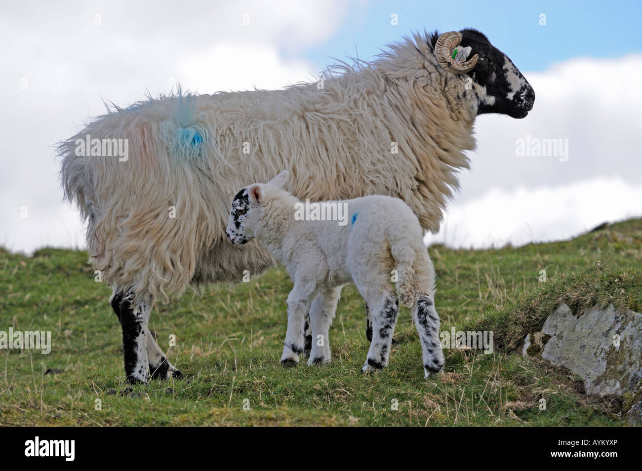 Crook hall hi-res stock photography and images - Alamy