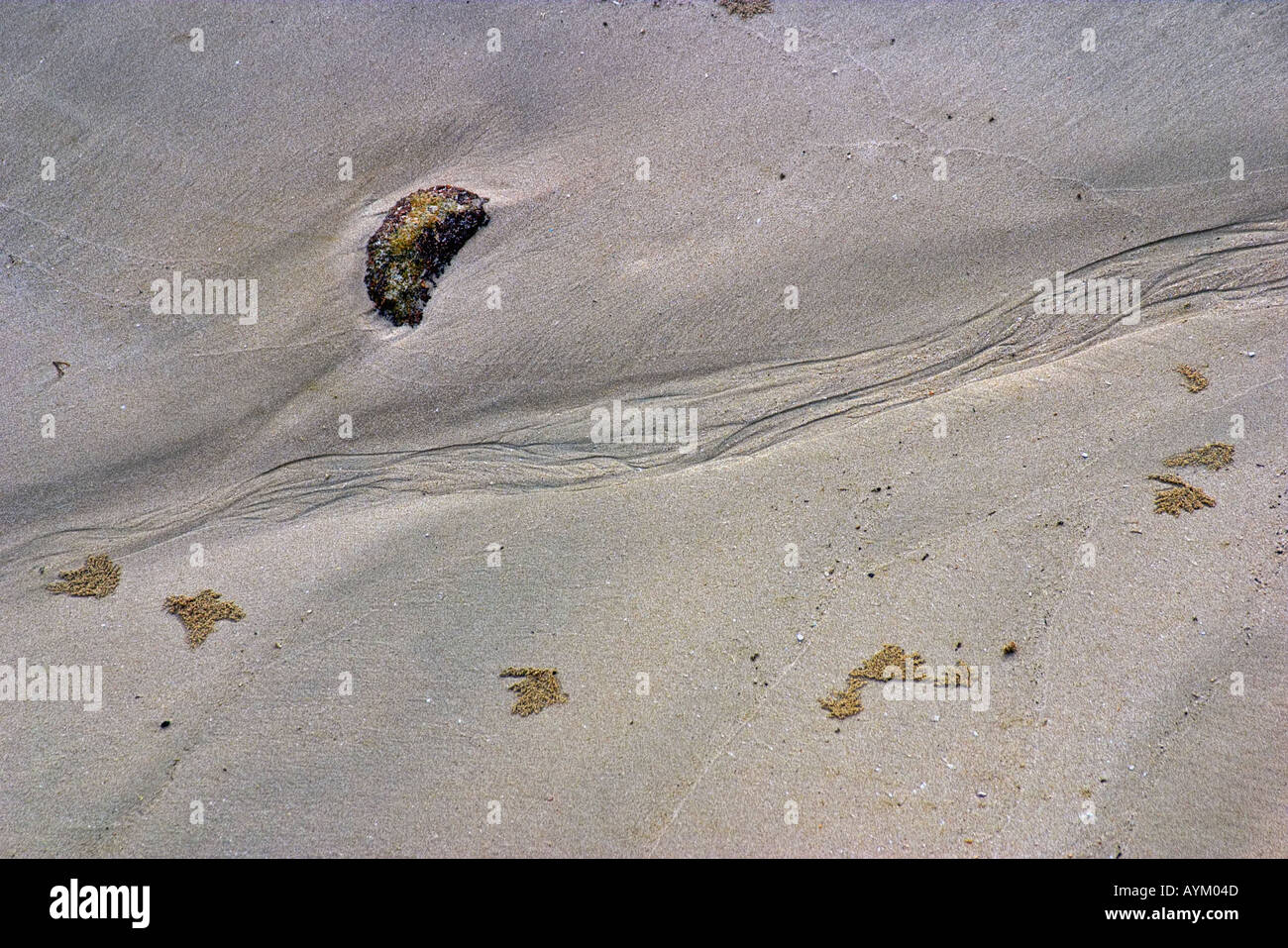 Tidal stream china hi-res stock photography and images - Alamy