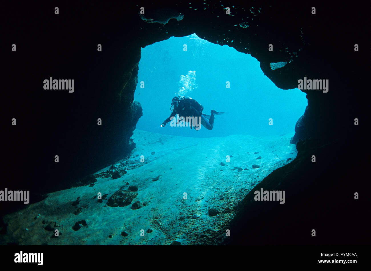 Florida cave cave diver underwater hi-res stock photography and images ...