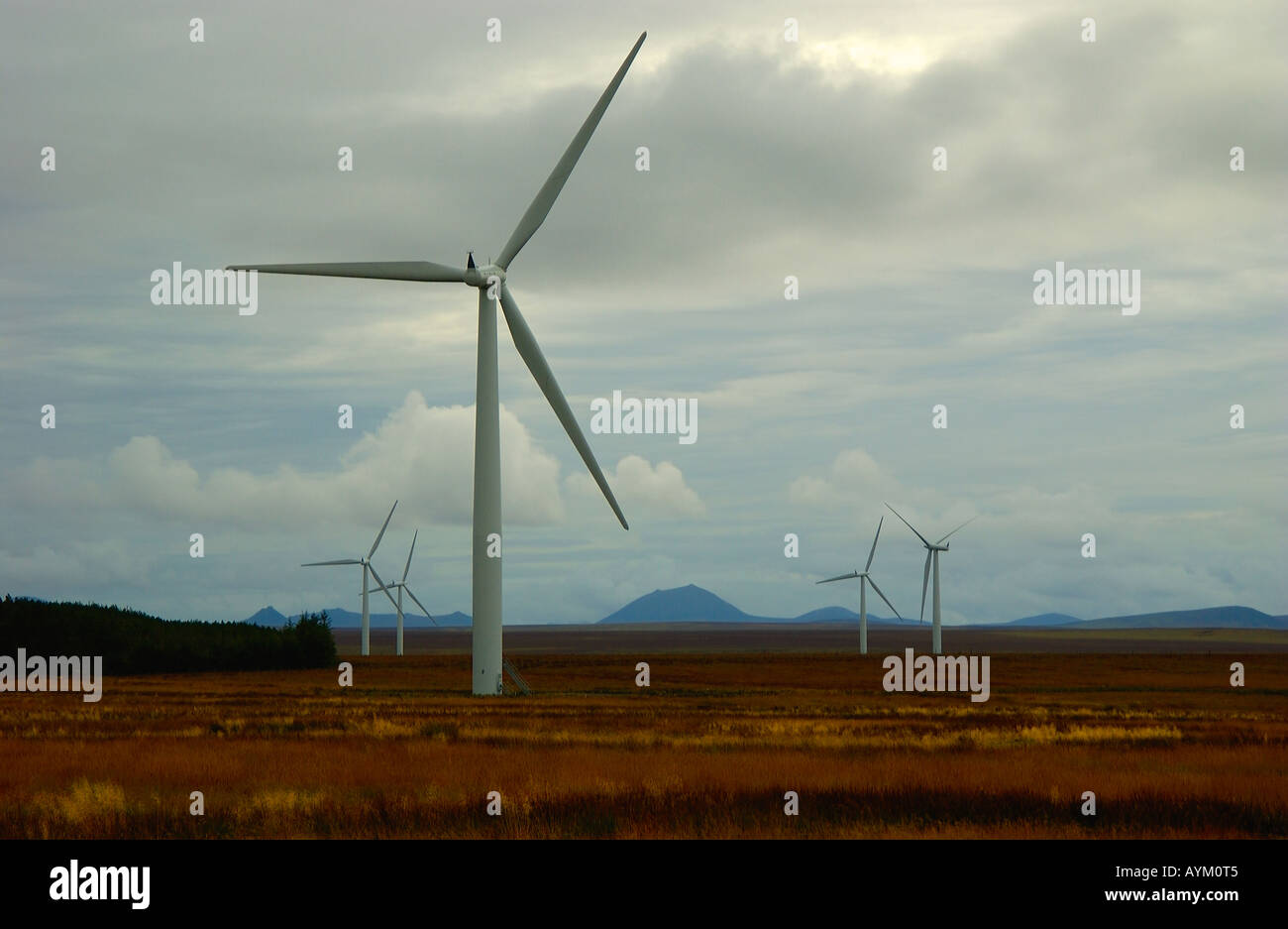 Wind farm in northern Scotland Stock Photo - Alamy