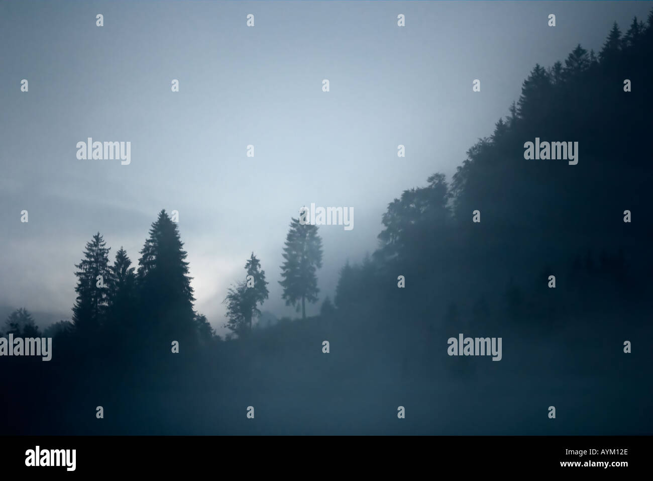 Misty mountain forest at St. Germain, Giger, Switzerland, EU Stock ...