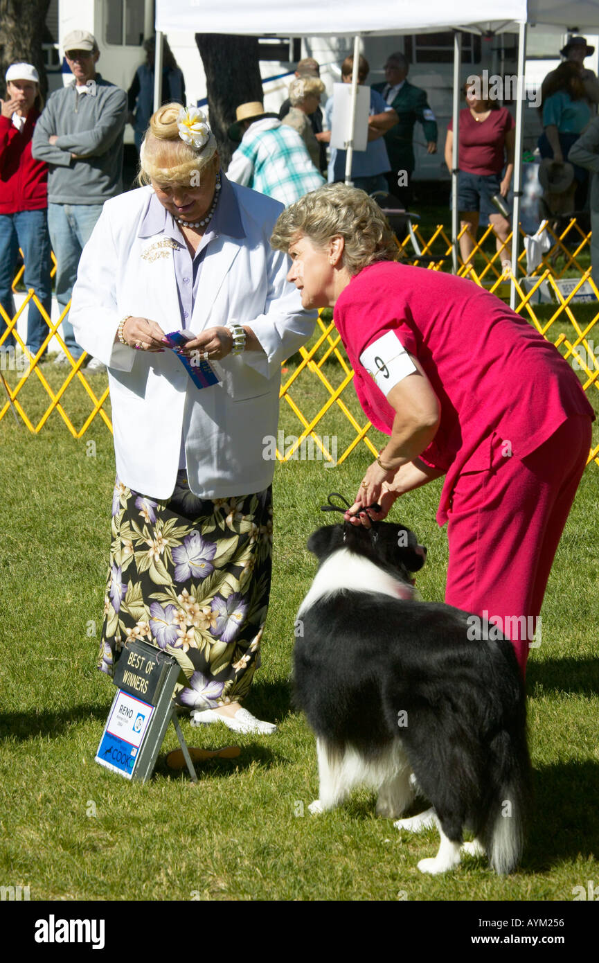 Reno the dog hi-res stock photography and images - Alamy