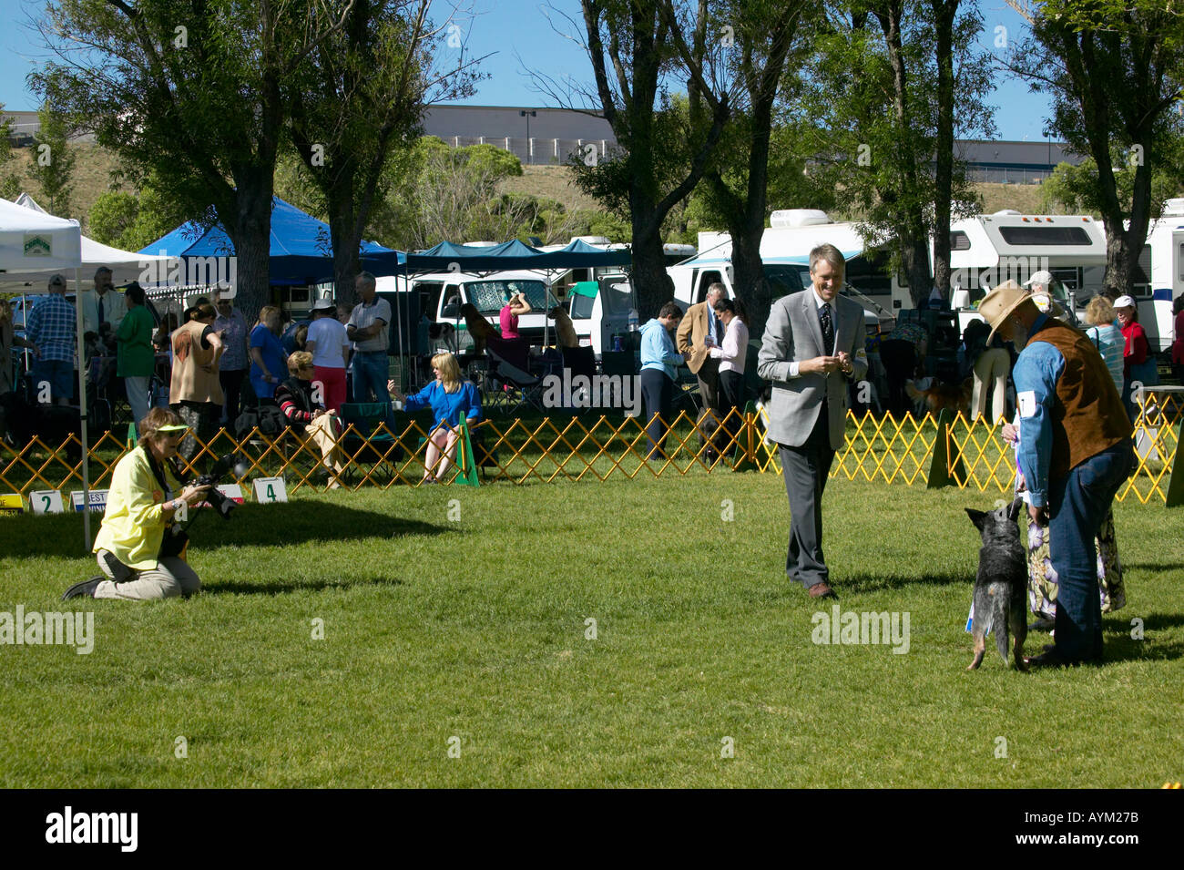 Dog show and obedience trails Stock Photo - Alamy