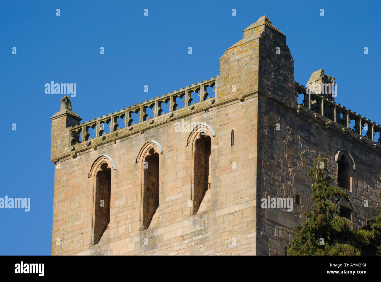 Jedburgh Abbey 12th century Scottish Border founded by King David 1st ...