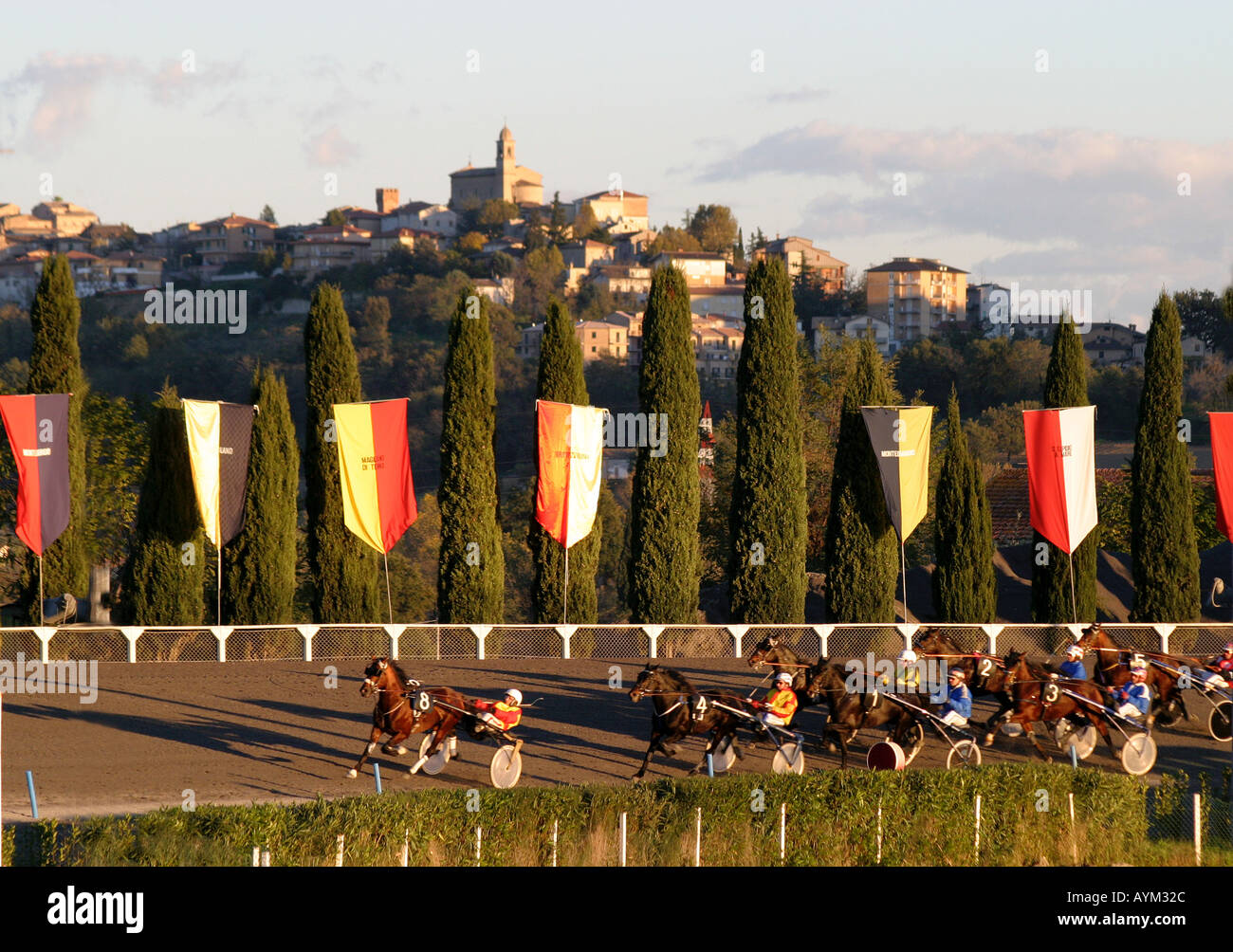 Trotting horse hi-res stock photography and images - Alamy