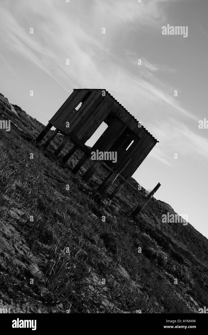 Water clam Black and White Stock Photos & Images - Alamy