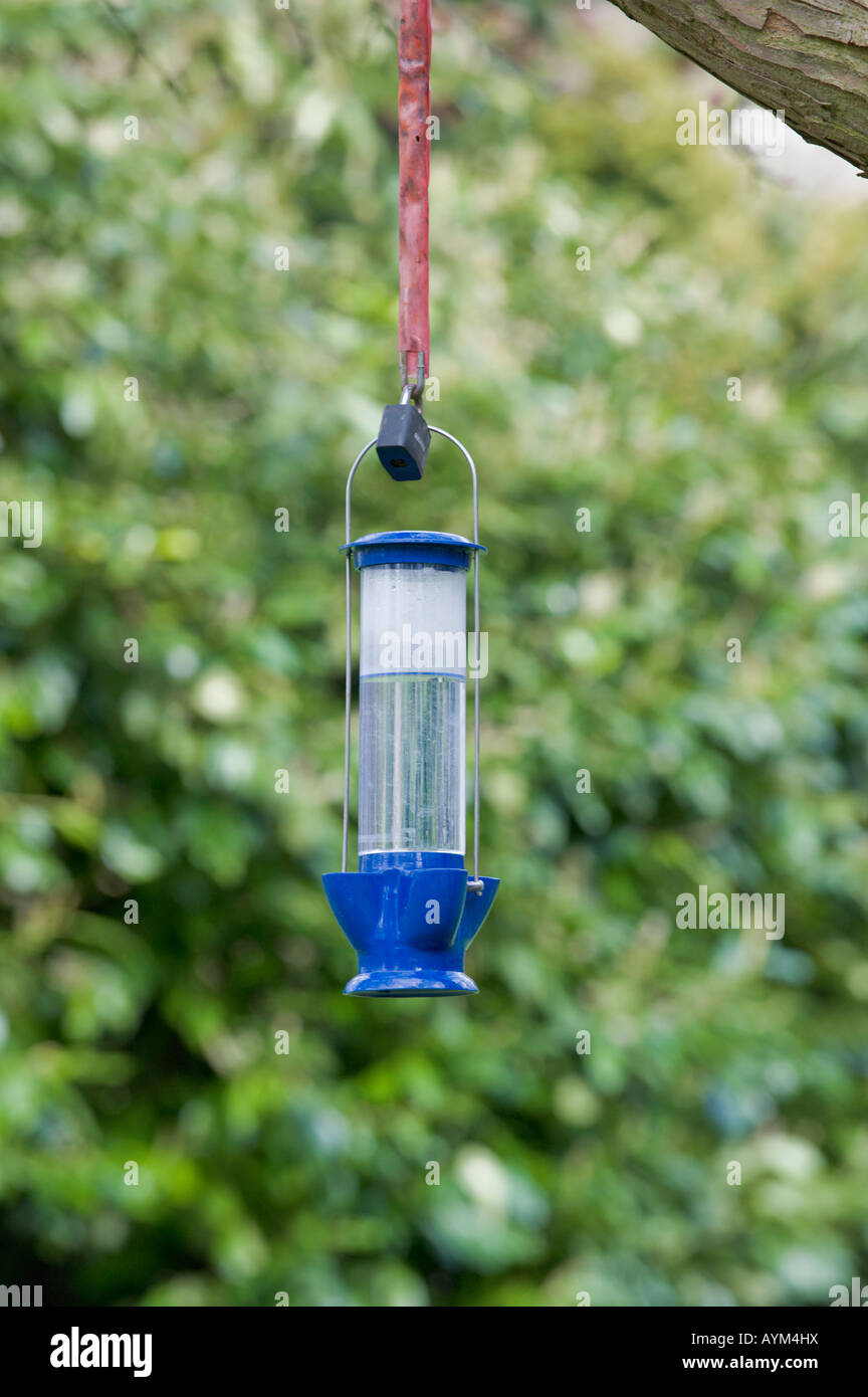 a food and drink container for birds Stock Photo - Alamy