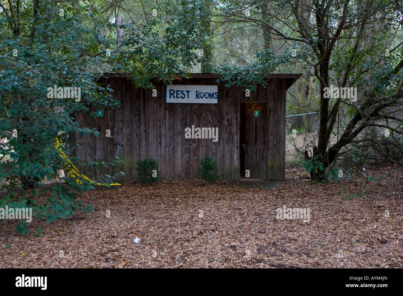 Large Wooden Outhouse in the Woods Stock Photo - Alamy