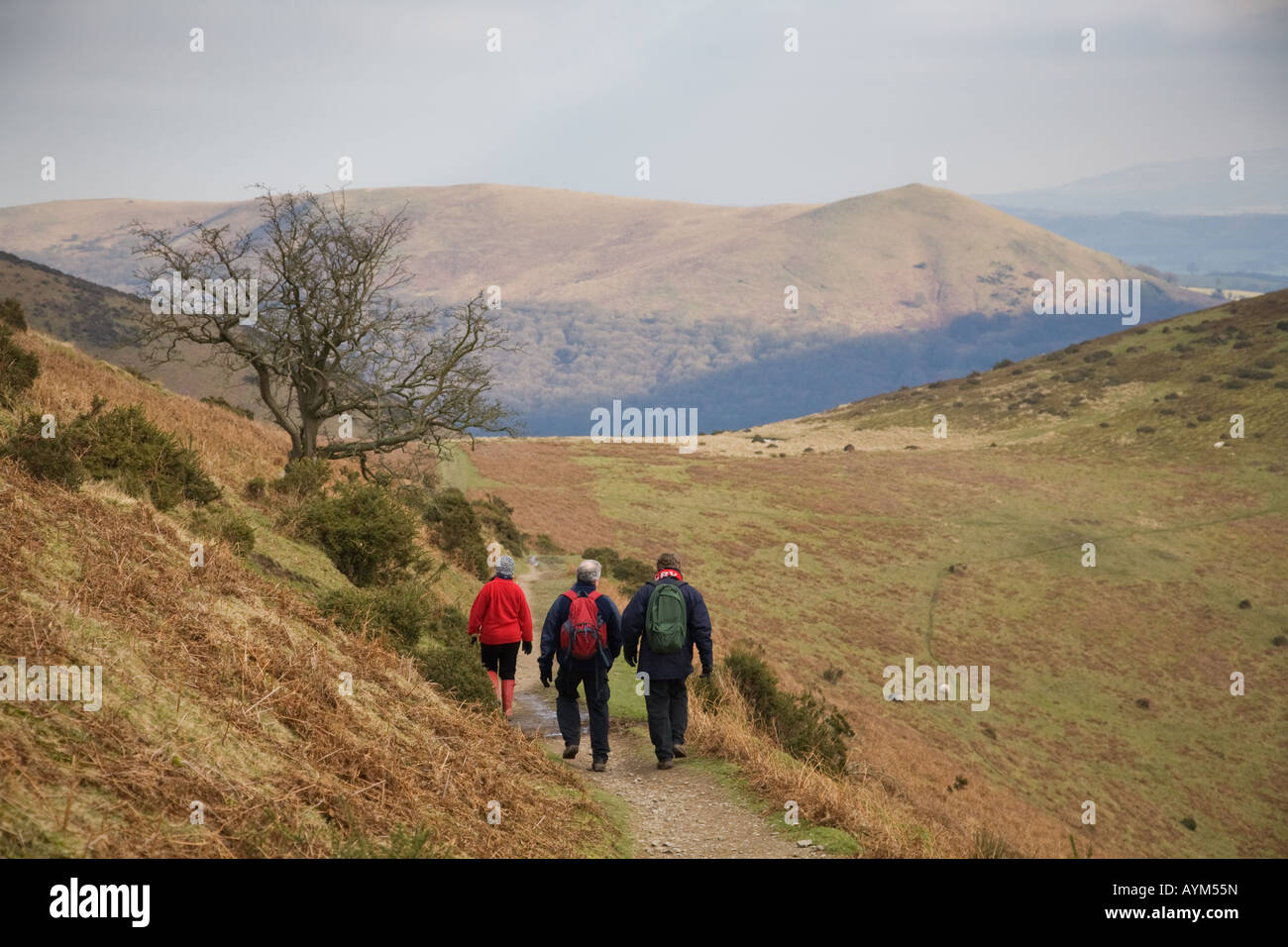 Walkers walking on a country trail in the Shropshire countryside hills ...