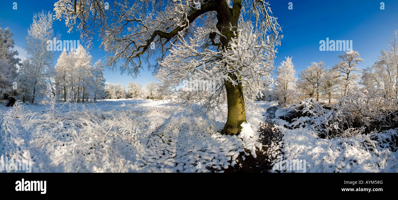 A snow covered rural landscape in the countryside Stock Photo - Alamy