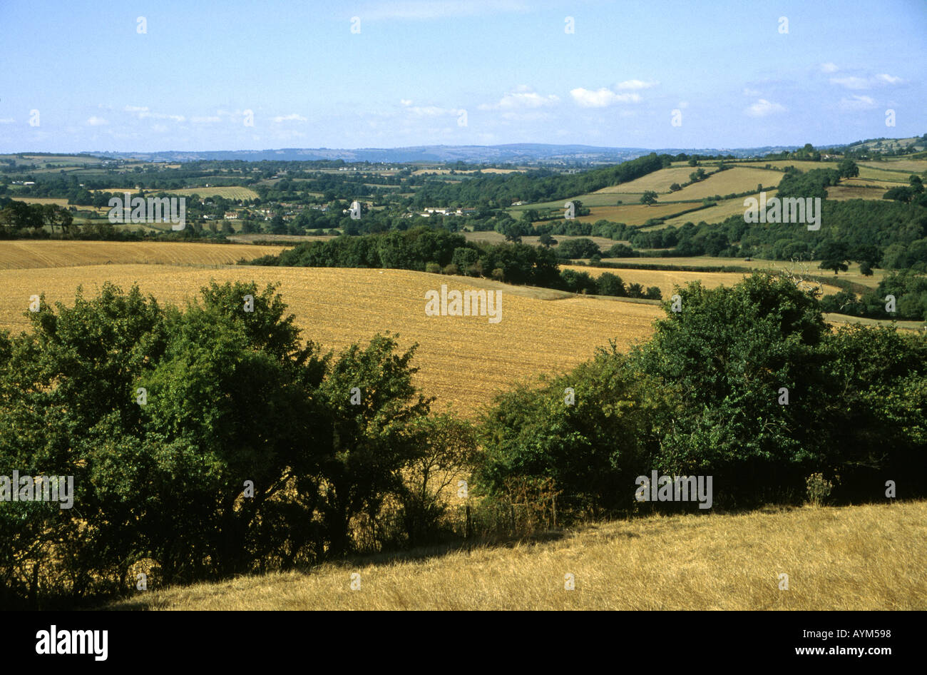 Rolling hills of Wiltshire England UK Stock Photo - Alamy
