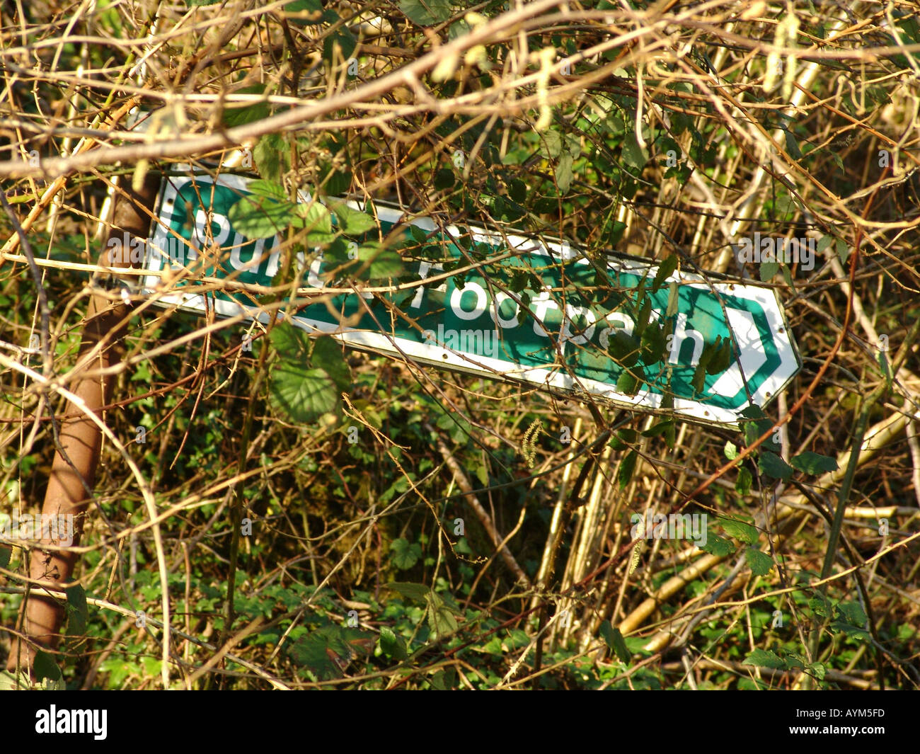 Draethen hi-res stock photography and images - Alamy