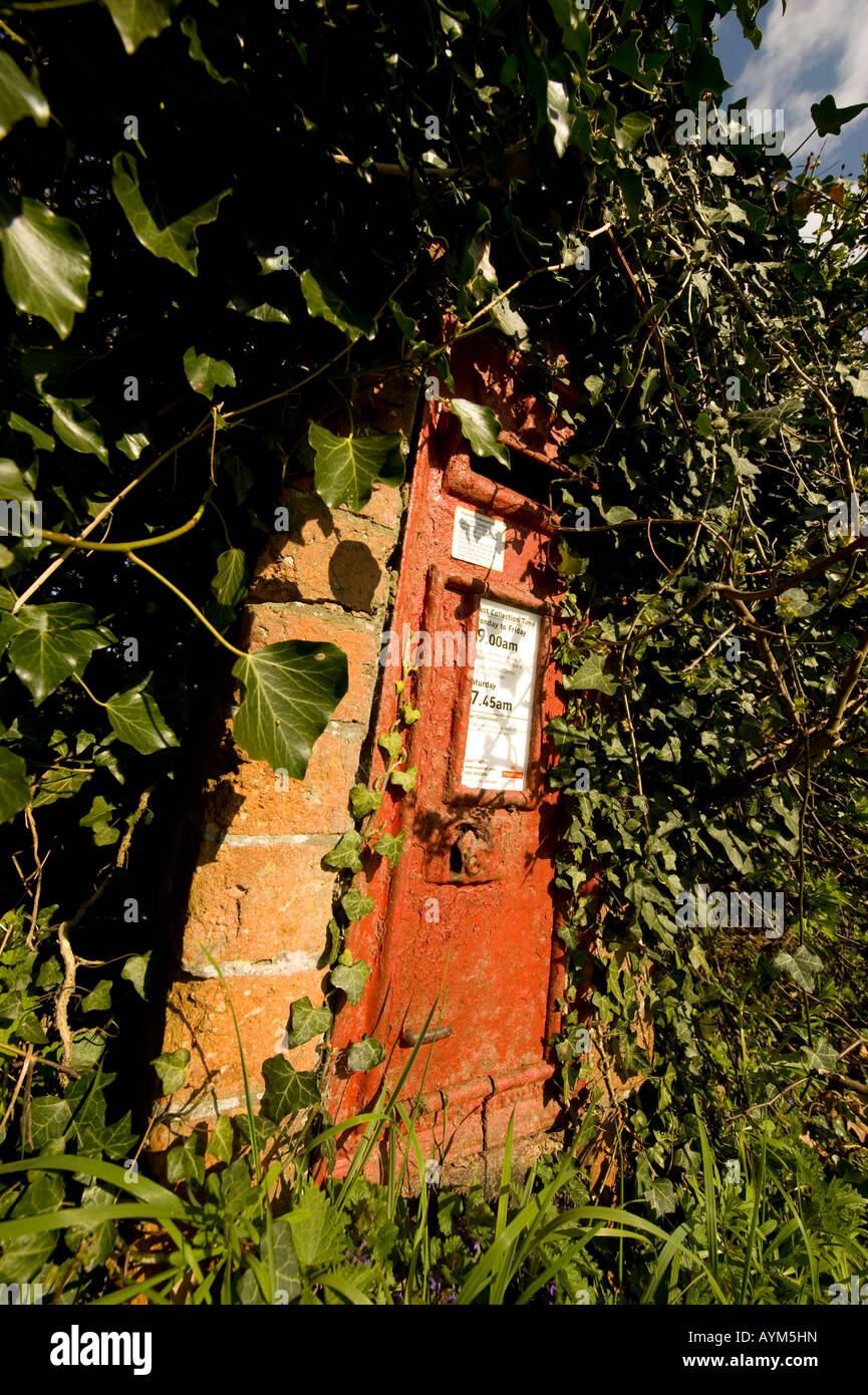 An underused but still active post pox, almost lost to view behind ...