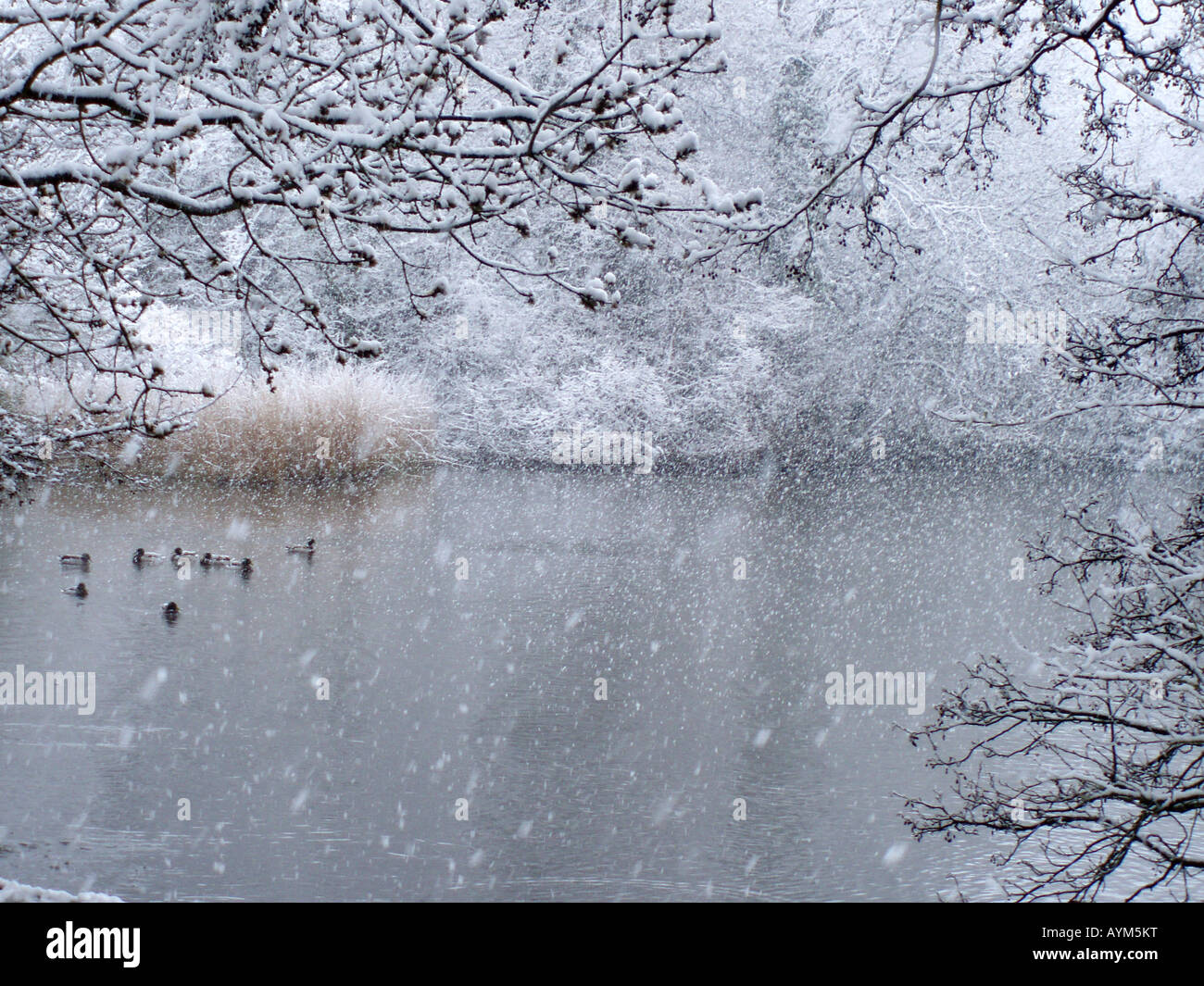 Eastbourne snow hi-res stock photography and images - Alamy