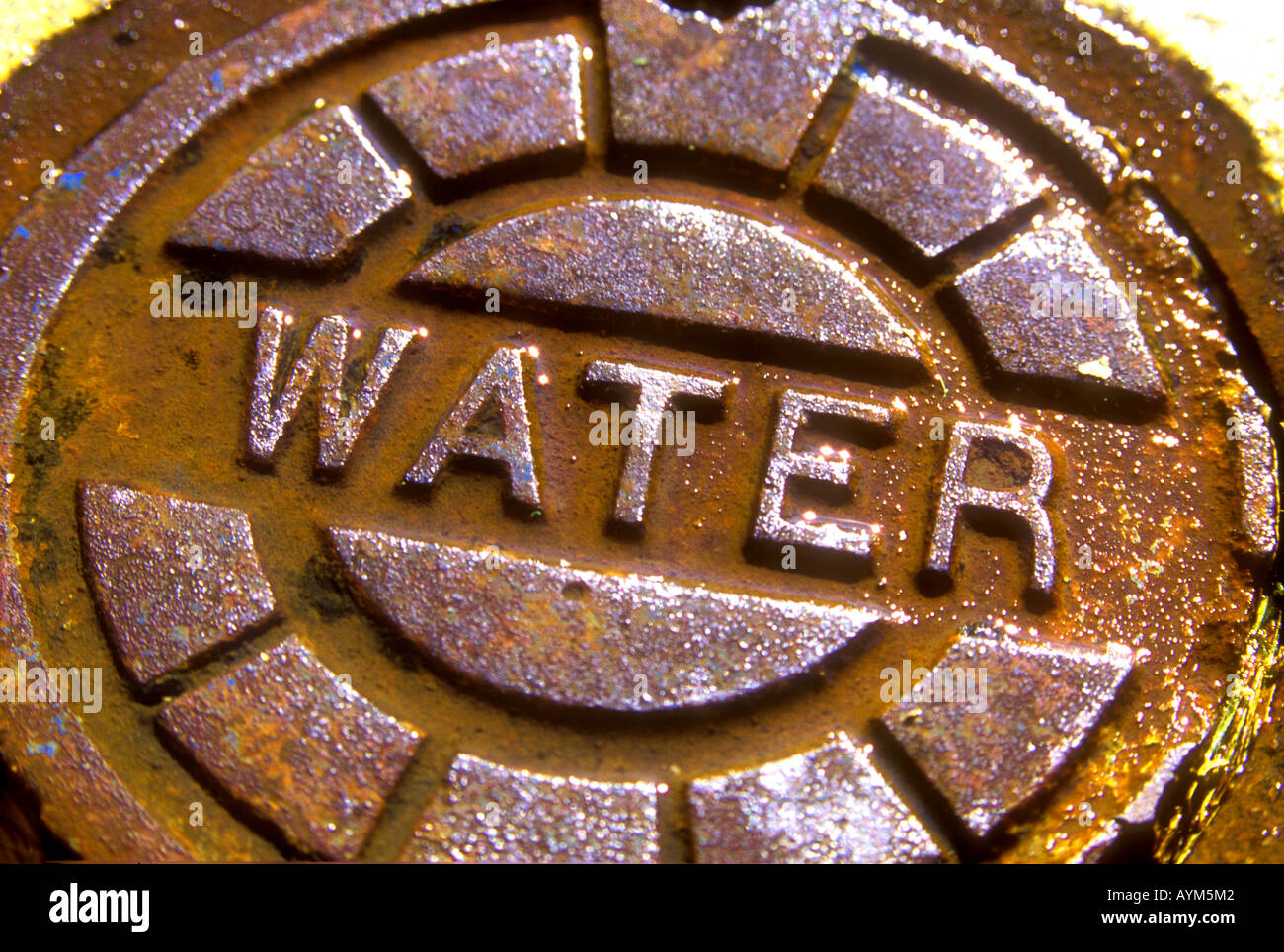 Water utility cover to protect valve Stock Photo - Alamy