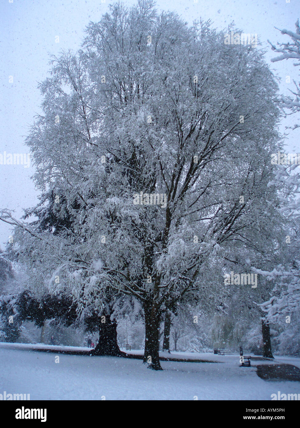 Hampden park eastbourne hi-res stock photography and images - Alamy