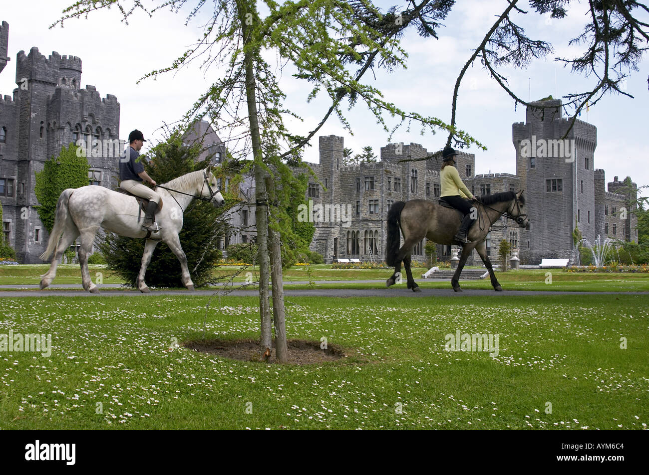 Horse Ranches Cong Ireland Lonetree Farms Highland Ponies And More