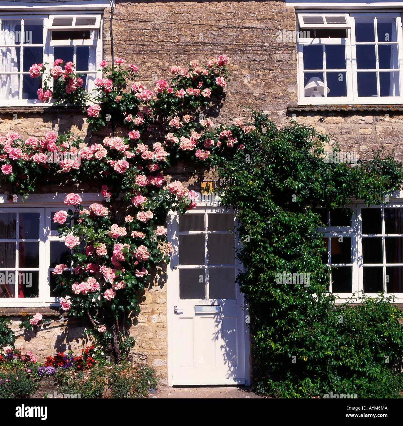 Roses around doorway of cottage in Thrupp Oxfordshire England Stock ...