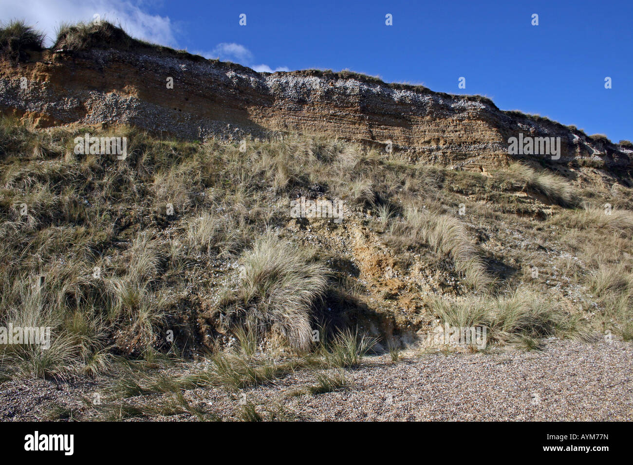 Dunwich steep cliffs uk hi-res stock photography and images - Alamy