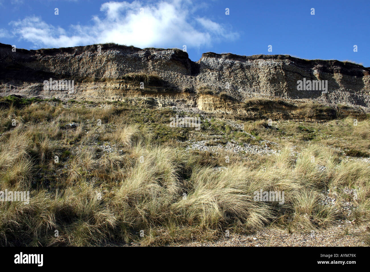 DUNWICH BEACH AND CLIFFS. SUFFOLK. ENGLAND Stock Photo - Alamy