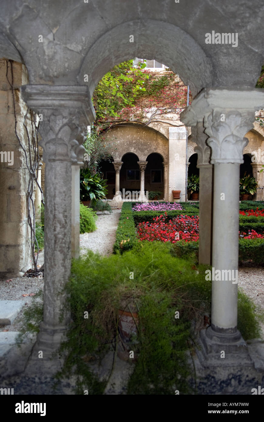 Courtyard with ferns hi-res stock photography and images - Alamy