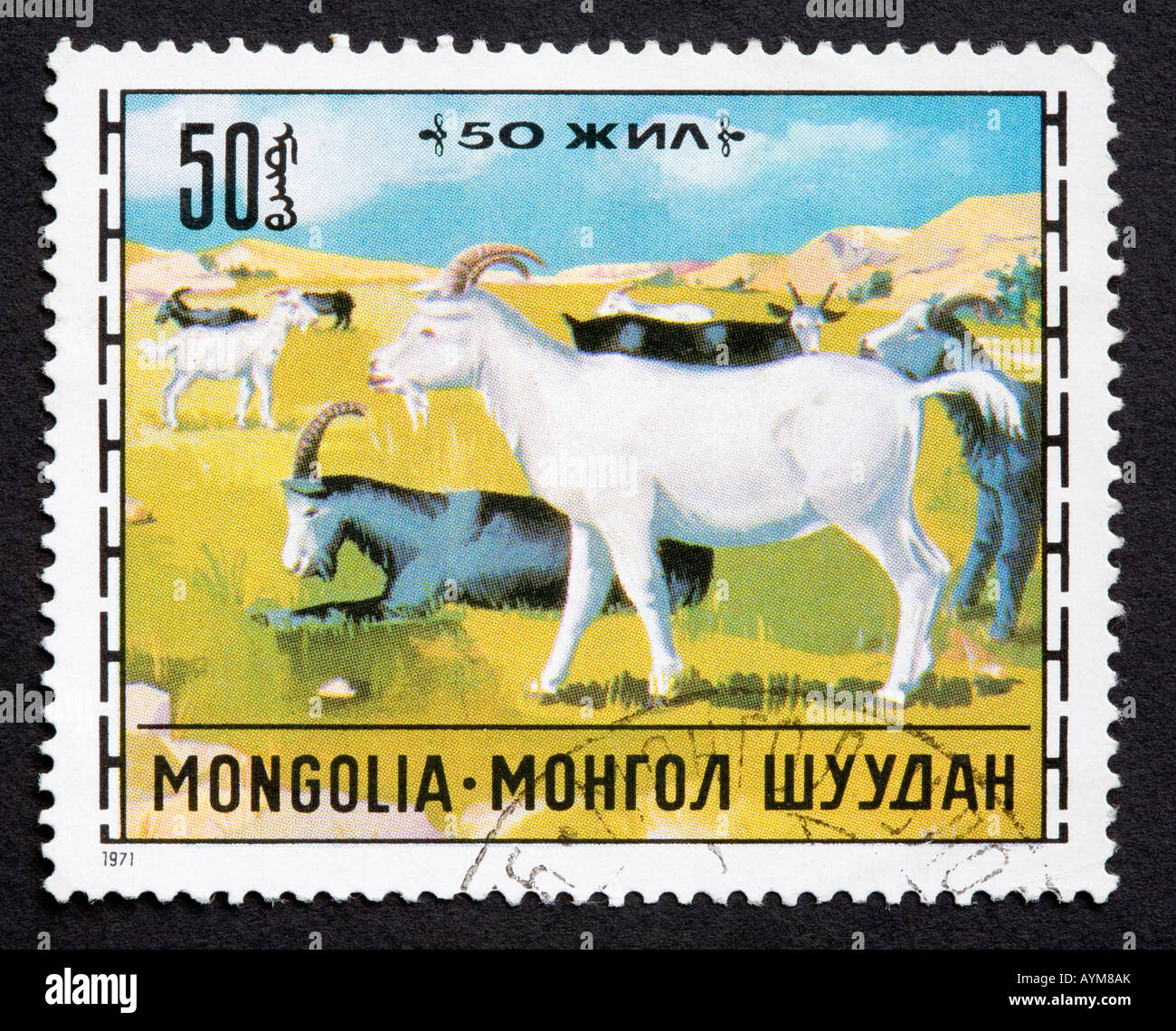 Mongolian postage stamp Stock Photo - Alamy