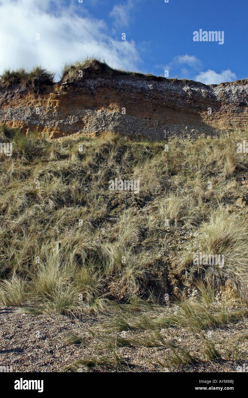 DUNWICH BEACH AND CLIFFS. SUFFOLK. ENGLAND Stock Photo - Alamy