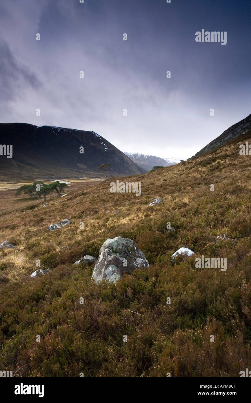 Dramatic mountain landscape, Alladale Estate, Scotland Stock Photo - Alamy