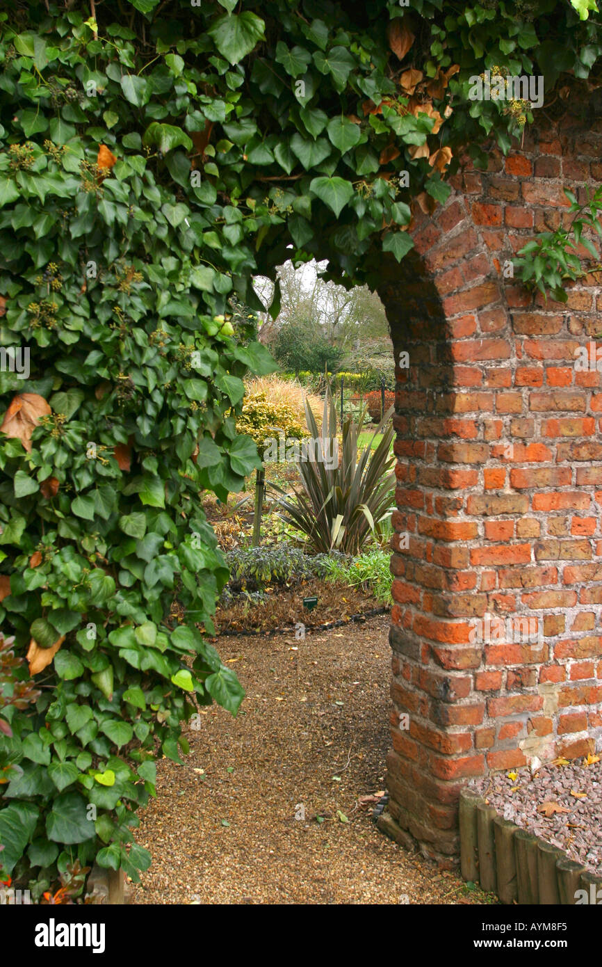Ivy covered garden gate hi-res stock photography and images - Alamy