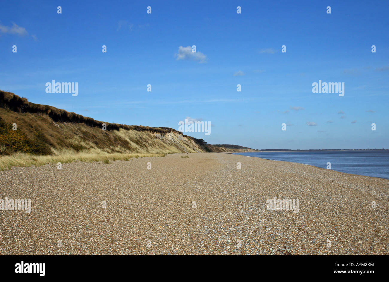 DUNWICH BEACH AND CLIFFS. SUFFOLK. ENGLAND Stock Photo - Alamy