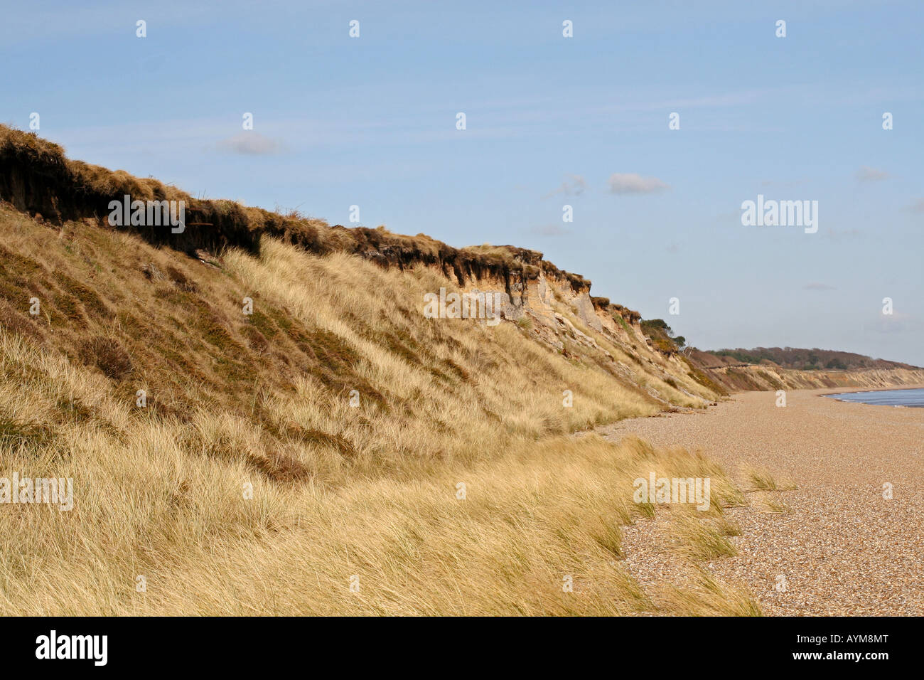 DUNWICH BEACH AND CLIFFS. SUFFOLK. ENGLAND Stock Photo - Alamy