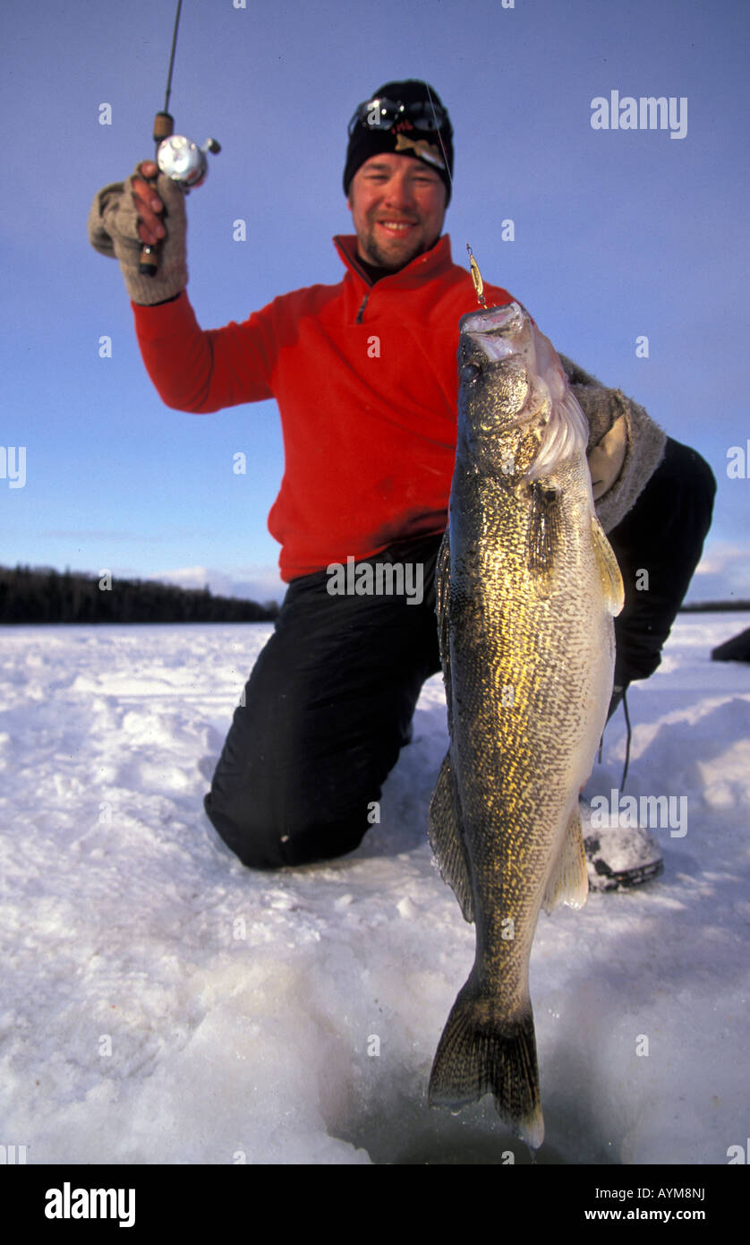 man ice fishing walleye Stock Photo - Alamy