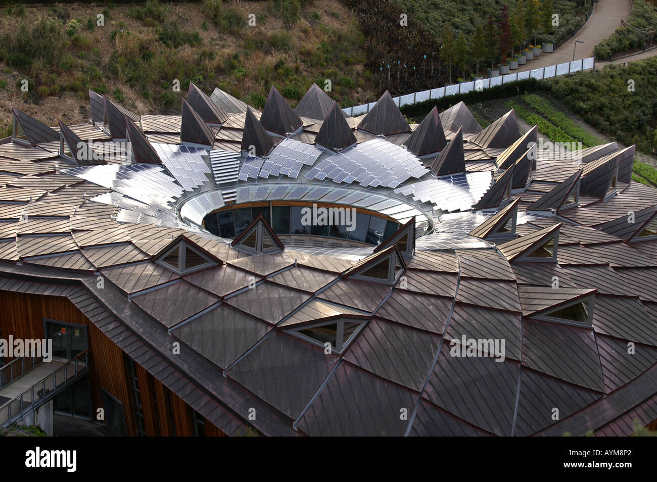 intricate roof structure of the Eden Projects education dome The Core ...