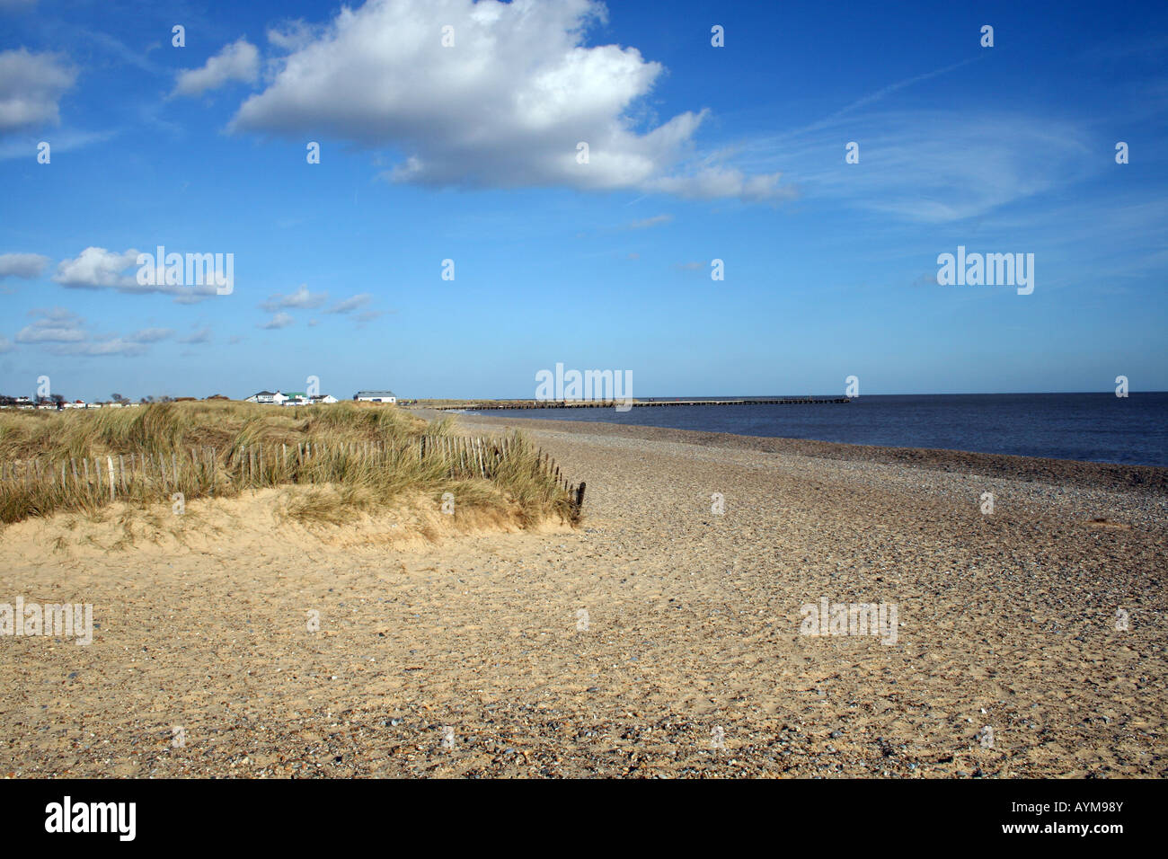 THE WILD NATURAL BEACH AT WALBERSWICK. SUFFOLK ENGLAND Stock Photo - Alamy