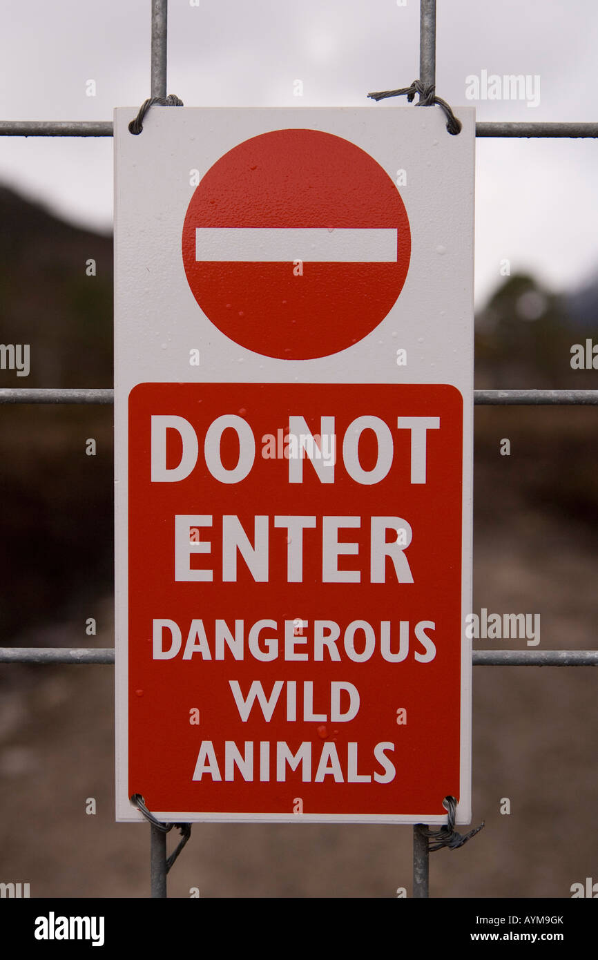 Warning Danger Wild Boar Sign High Resolution Stock Photography and ...