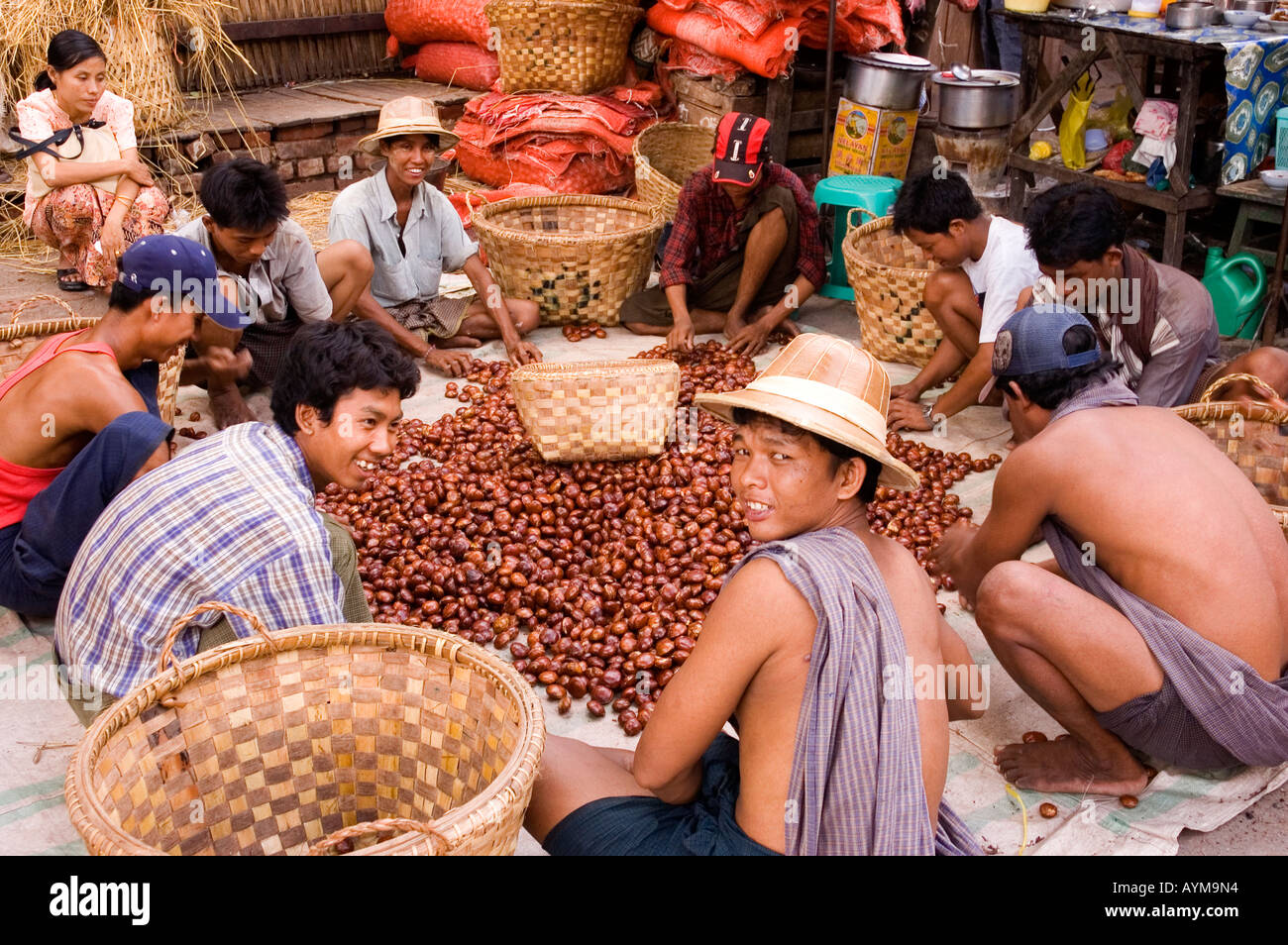 Stock photograph of young men sorting nuts in the market at Mandalay in ...
