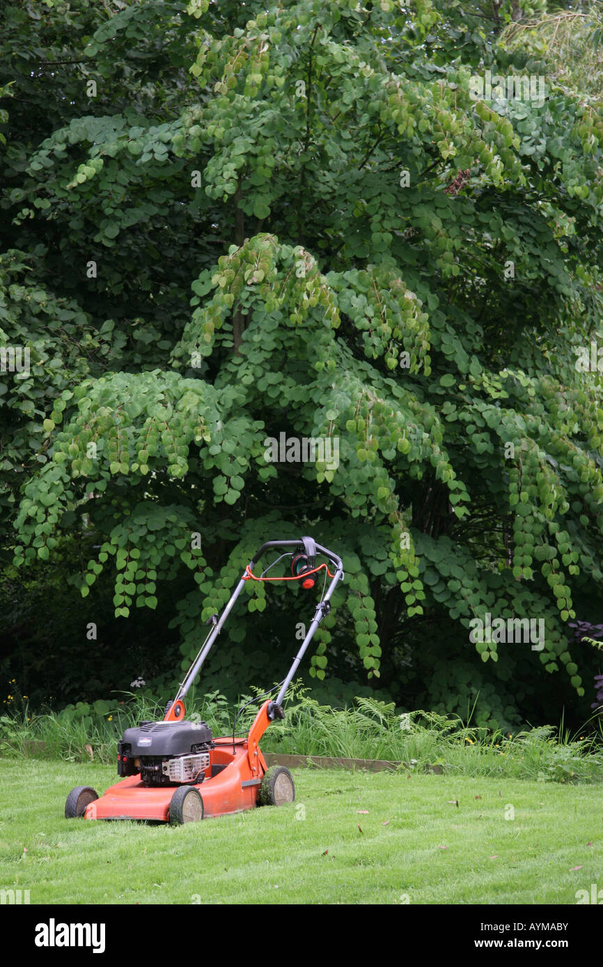 Lawn mower with ear defending head phones on handle standing on newly ...