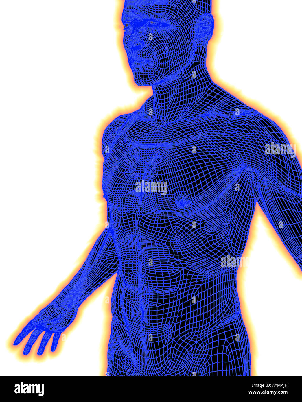 computer generated male robot with wire frame pattern Stock Photo - Alamy