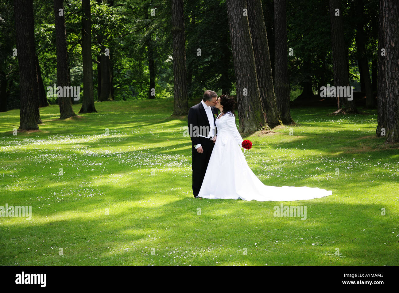 Newly wedded couple kissing Stock Photo - Alamy
