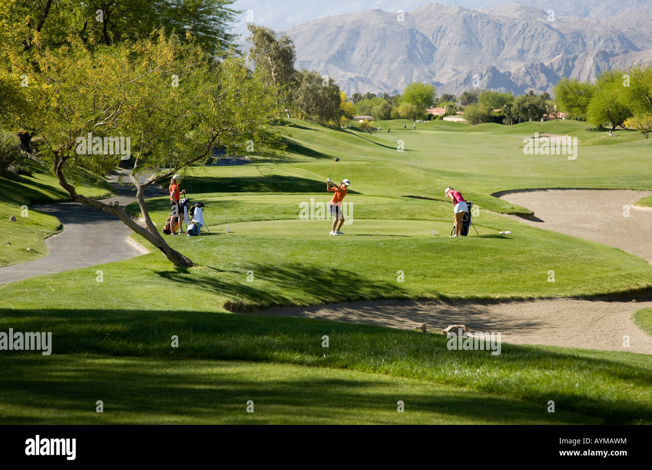 Gary player signature hi-res stock photography and images - Alamy