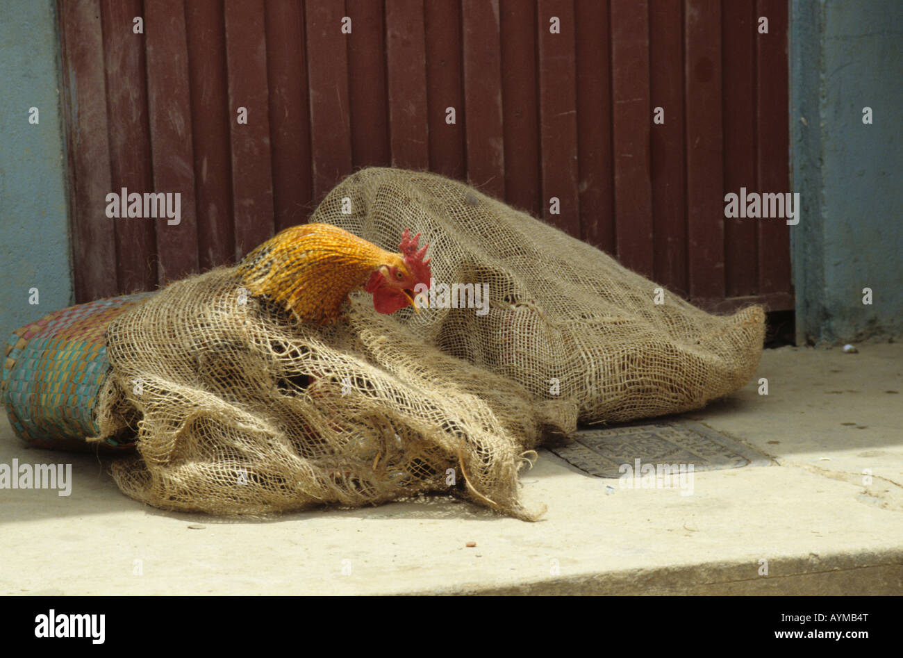 Streets of oaxaca hi-res stock photography and images - Alamy