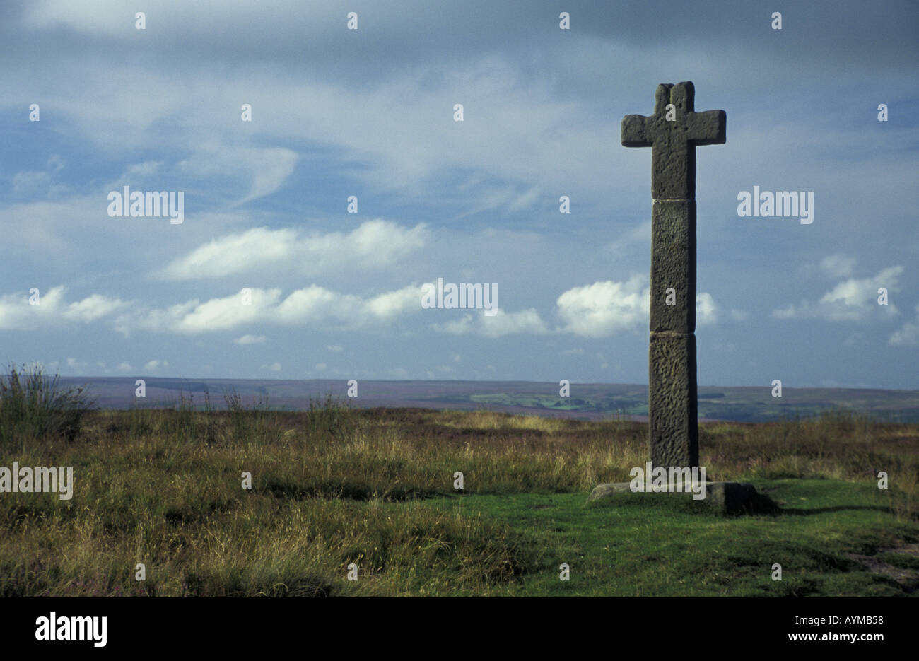 Young ralph cross hi-res stock photography and images - Alamy