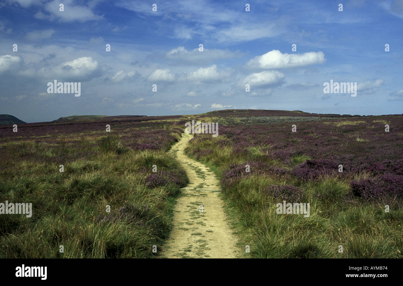 Urra moor hi-res stock photography and images - Alamy