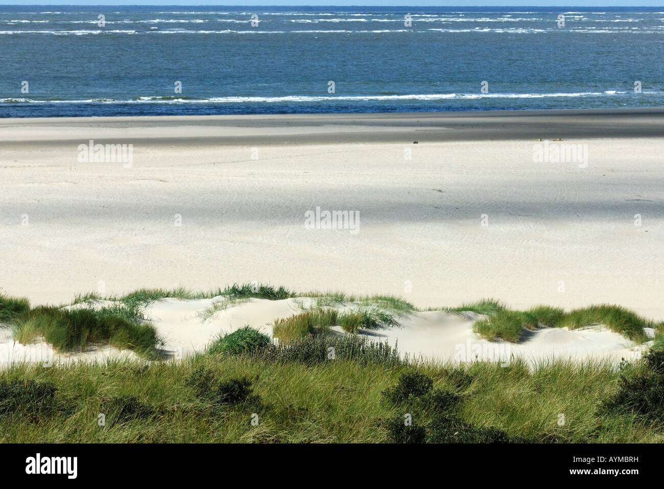 seashore beach sea sand Waddensee spiaggia sabbia dune Texel isole ...