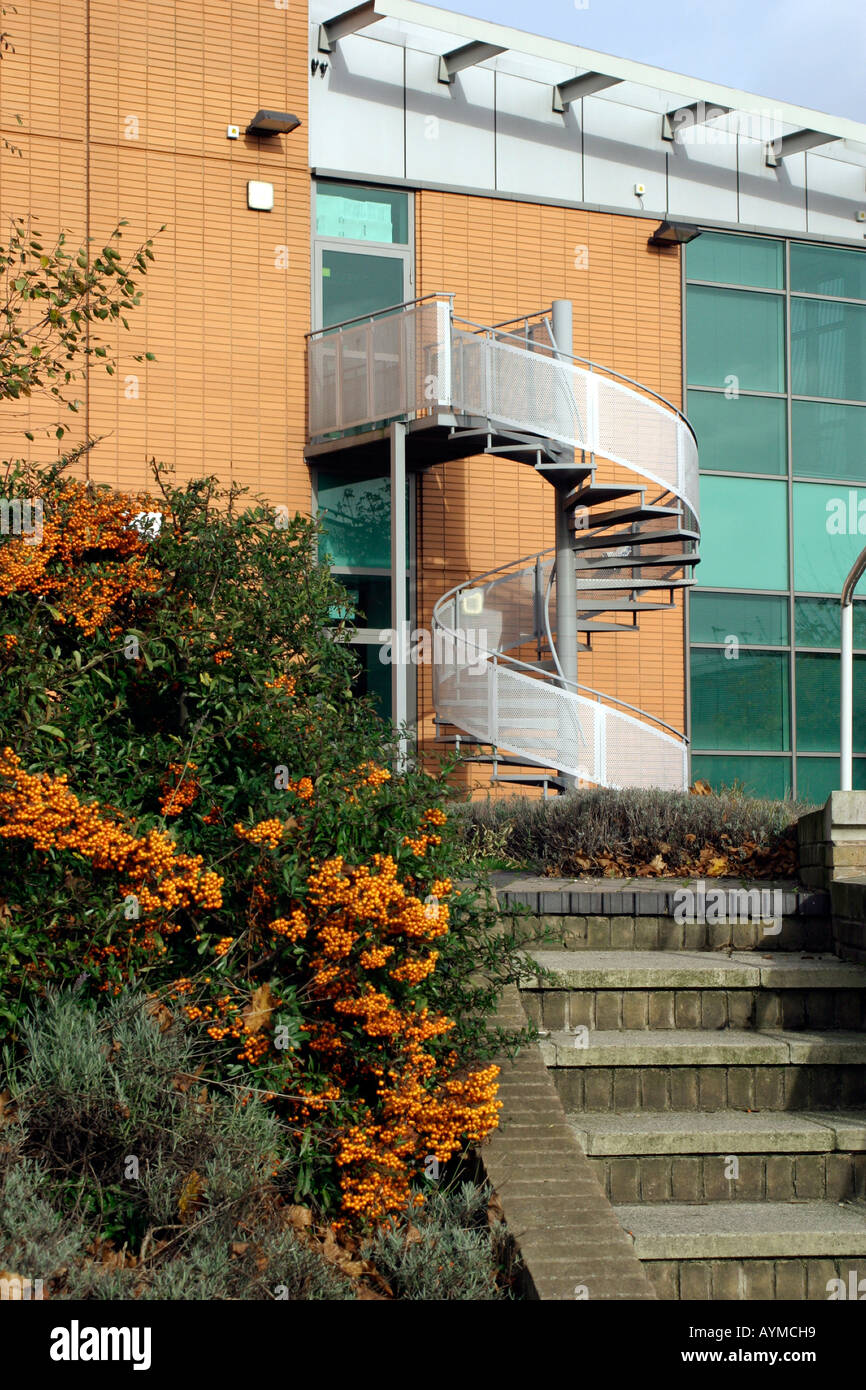 Colton plants hi-res stock photography and images - Alamy