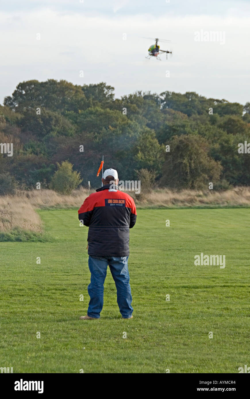 Flying model radio controlled airplanes in Epping Forest Stock Photo ...