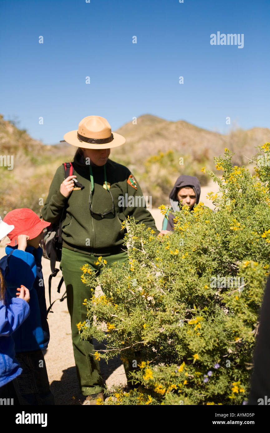 Joshua Tree National Park California park ranger talking about ...