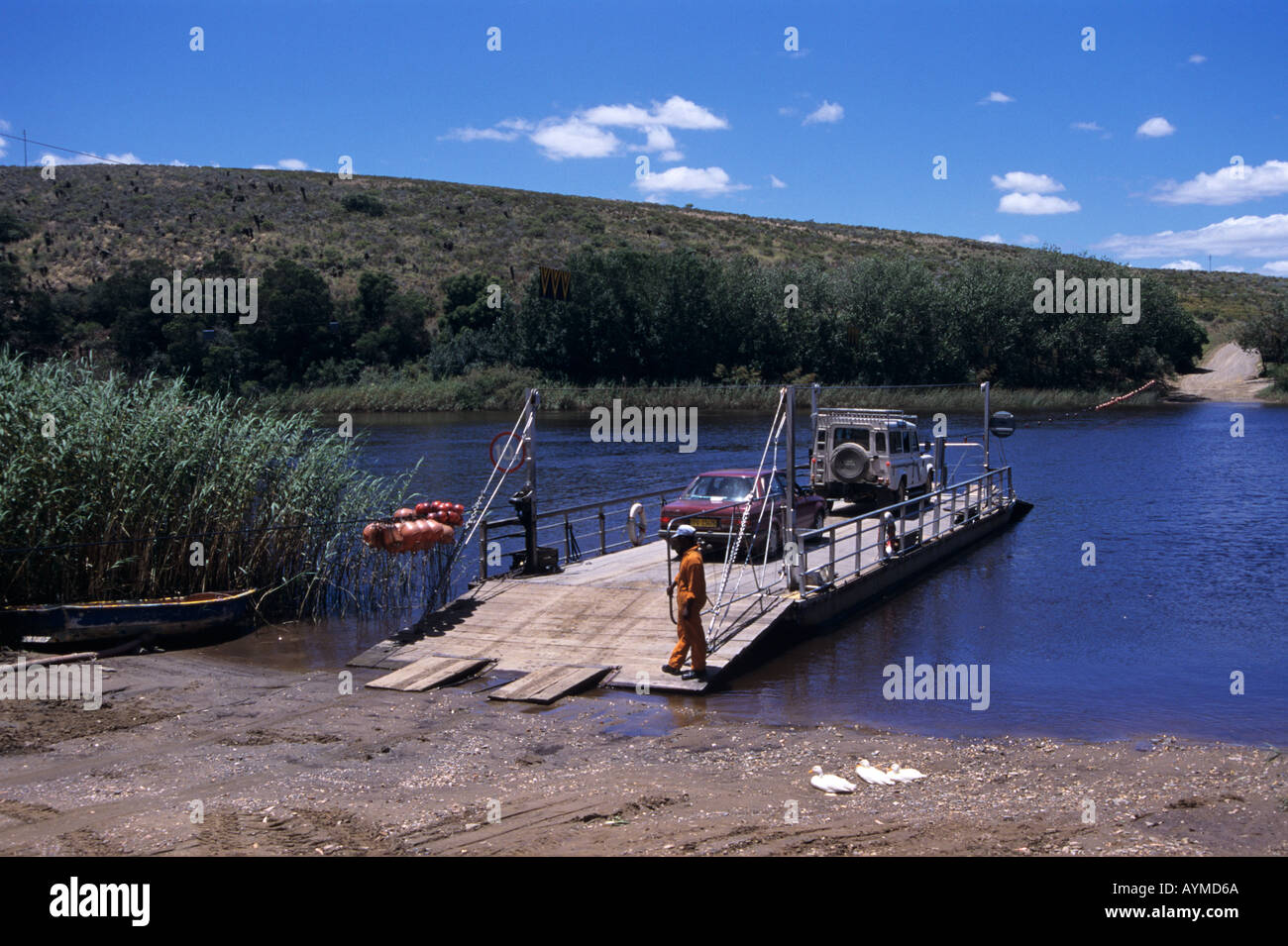 vechicle pont on River Breede at Malgas western cape South Africa RSA ...