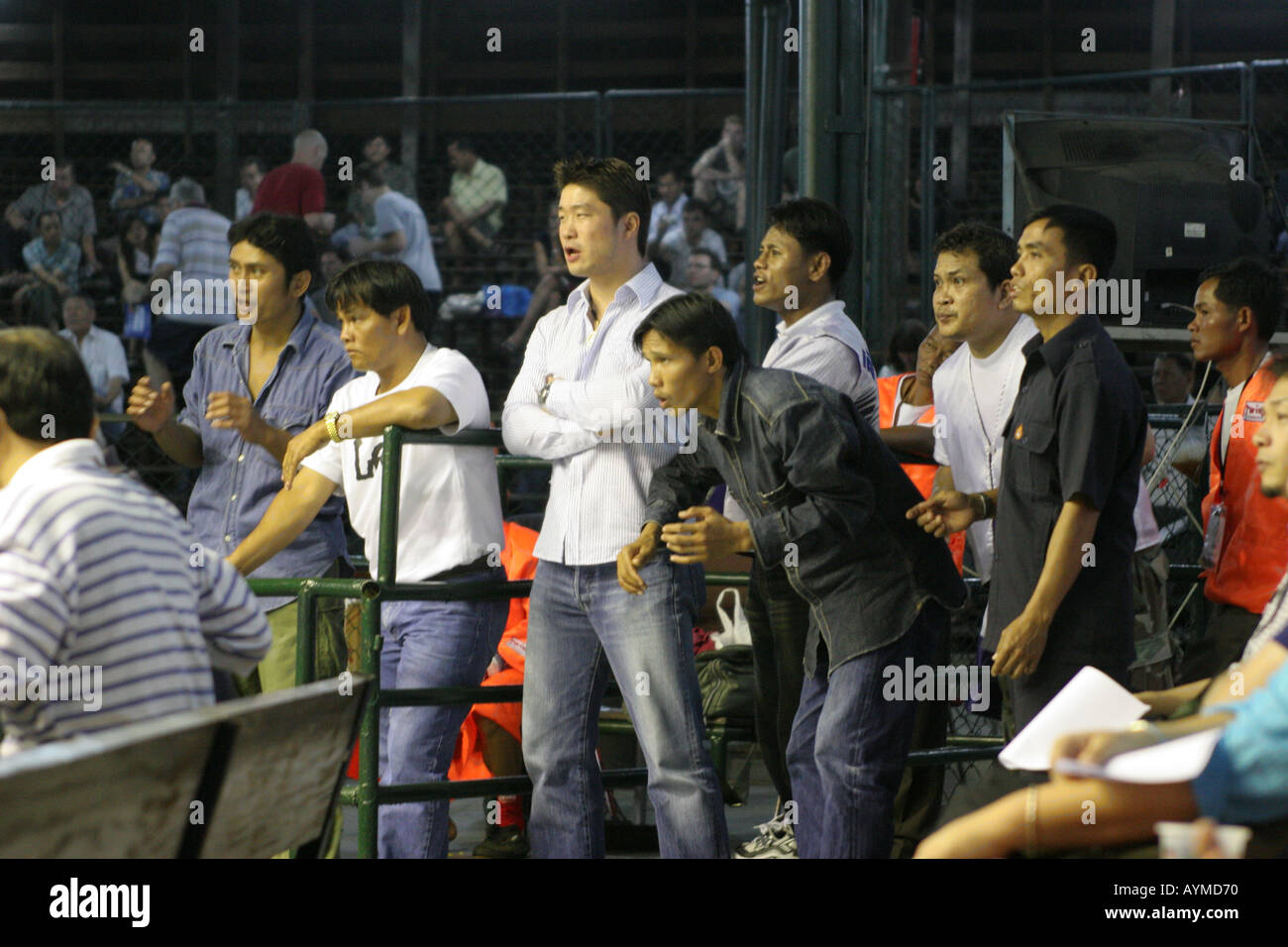 Boxing ring audience hi-res stock photography and images - Alamy